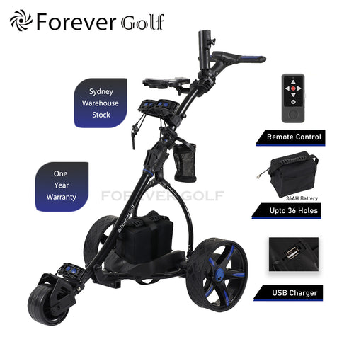 Brand New 2025 Remote Control Golf Buggy Dual Motors Electric Golf Tro ...
